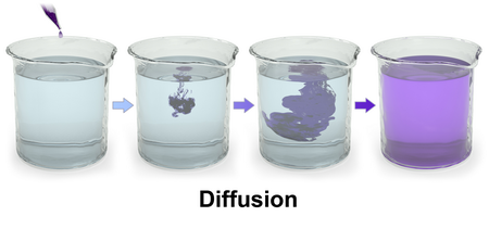 Diffusion & Electrostatics – BioLogically