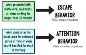 Operant Conditioning – Associative Learning – BioLogically