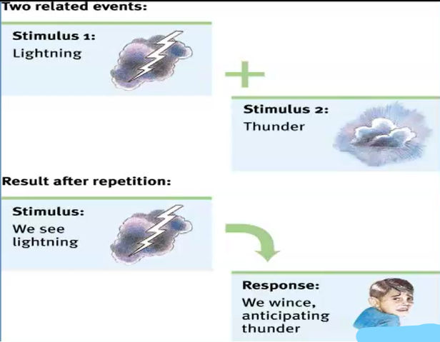 Classical Conditioning – A Learning Experience – BioLogically