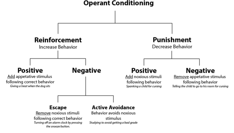 Operant Conditioning – Associative Learning – BioLogically