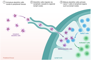 The Infectious Process – BioLogically